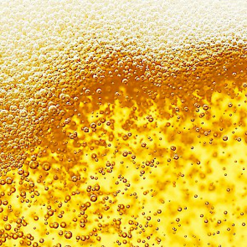 Alles over de biersector in Nederland - Nederlandse Brouwers